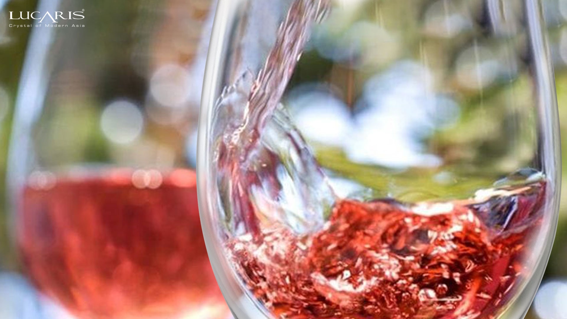 Top 5 Wine Myths debunked! | Lucaris Crystal